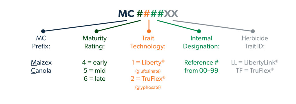 Canola - Maizex Seeds Inc.