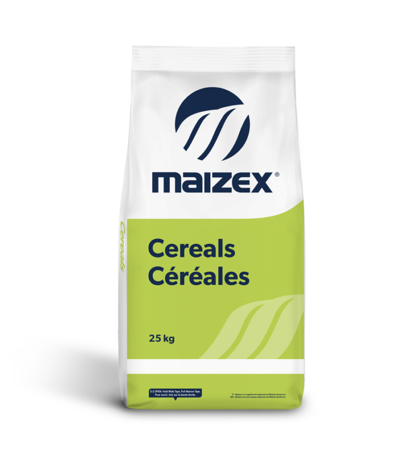 Our Products - Maizex Seeds Inc.