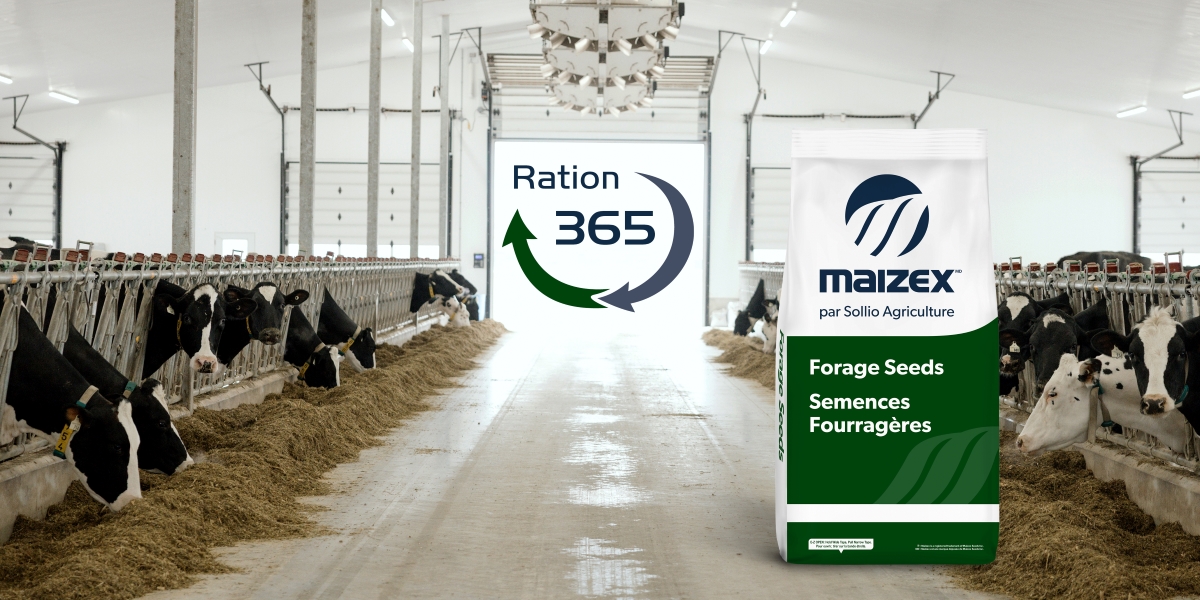 Forages - Maizex Seeds Inc.